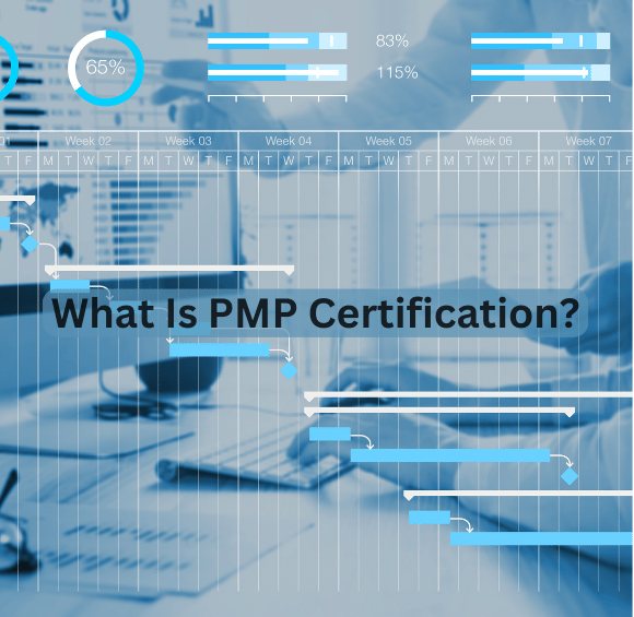 What Is PMP Certification? - Microtek Learning