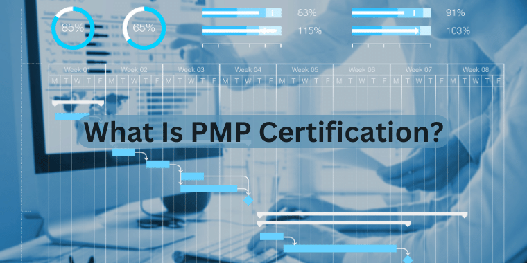 What Is PMP Certification? - Microtek Learning